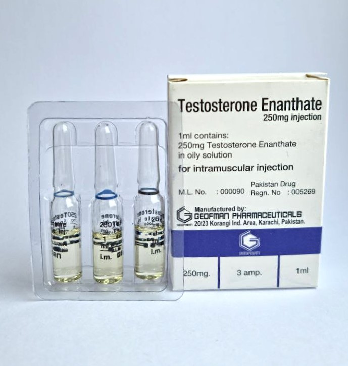 *Geofman Pharmaceuticals Testosterone Enanthate 250 (Box of 3 Amps ...