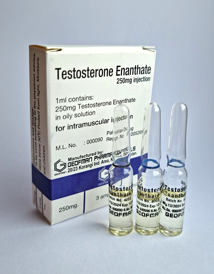 *Geofman Pharmaceuticals Testosterone Enanthate 250 (Box of 3 Amps ...